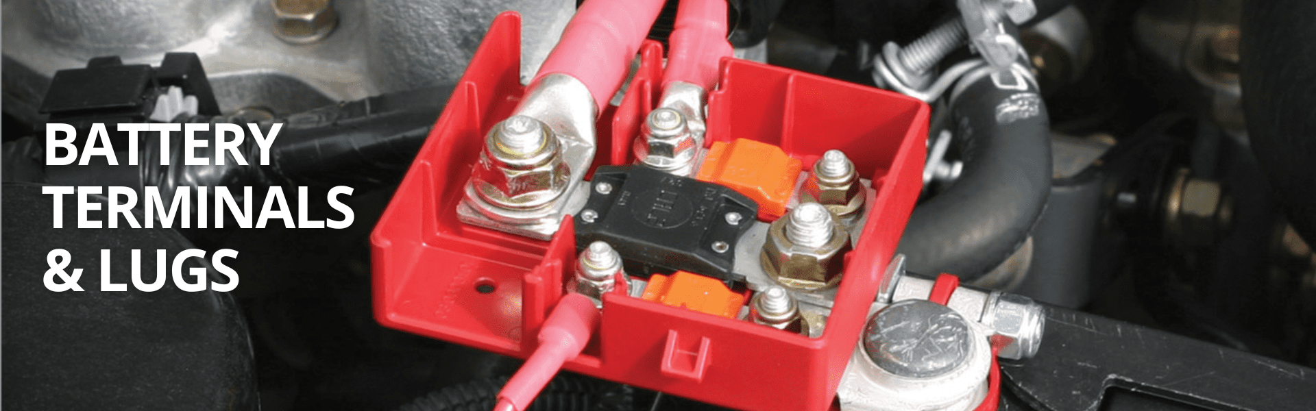 Battery Terminals & Lugs